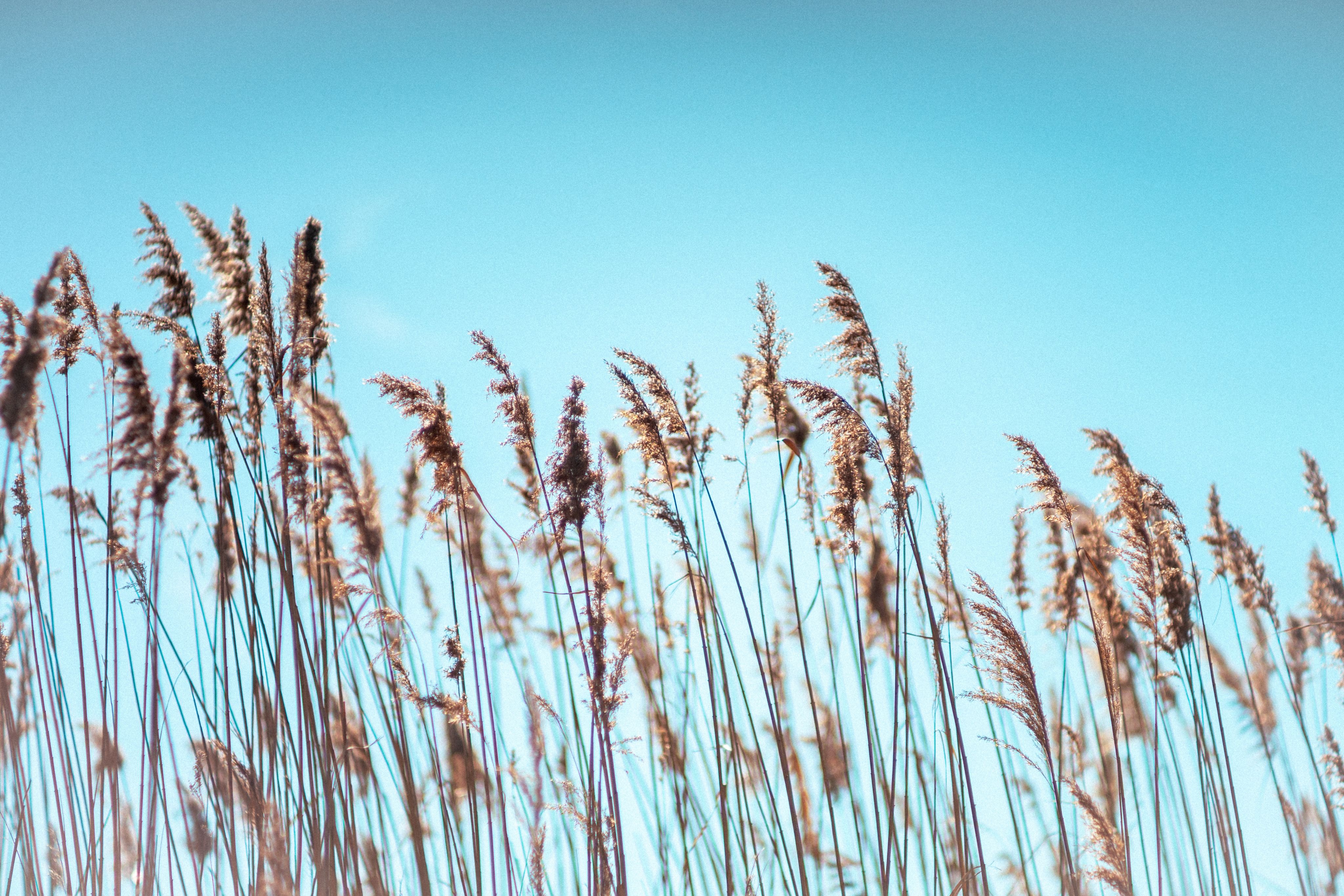 Fashion Icons Through the Decades: Timeless Inspiration - Clothing